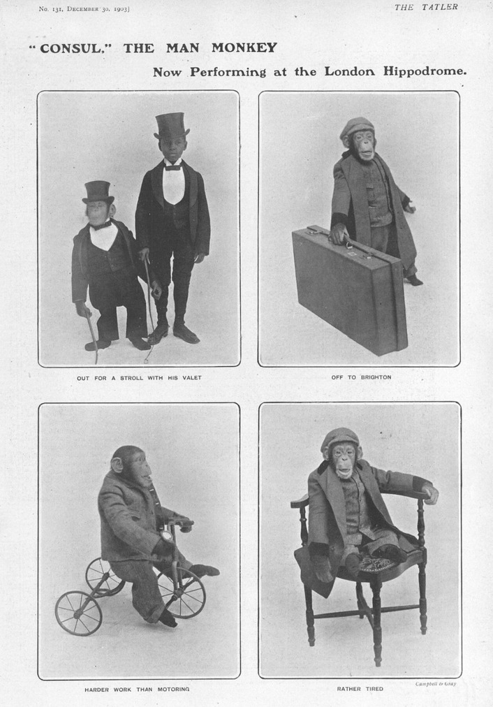 Consul, The Educated Monkey - Jaap's Mechanical Calculators Page