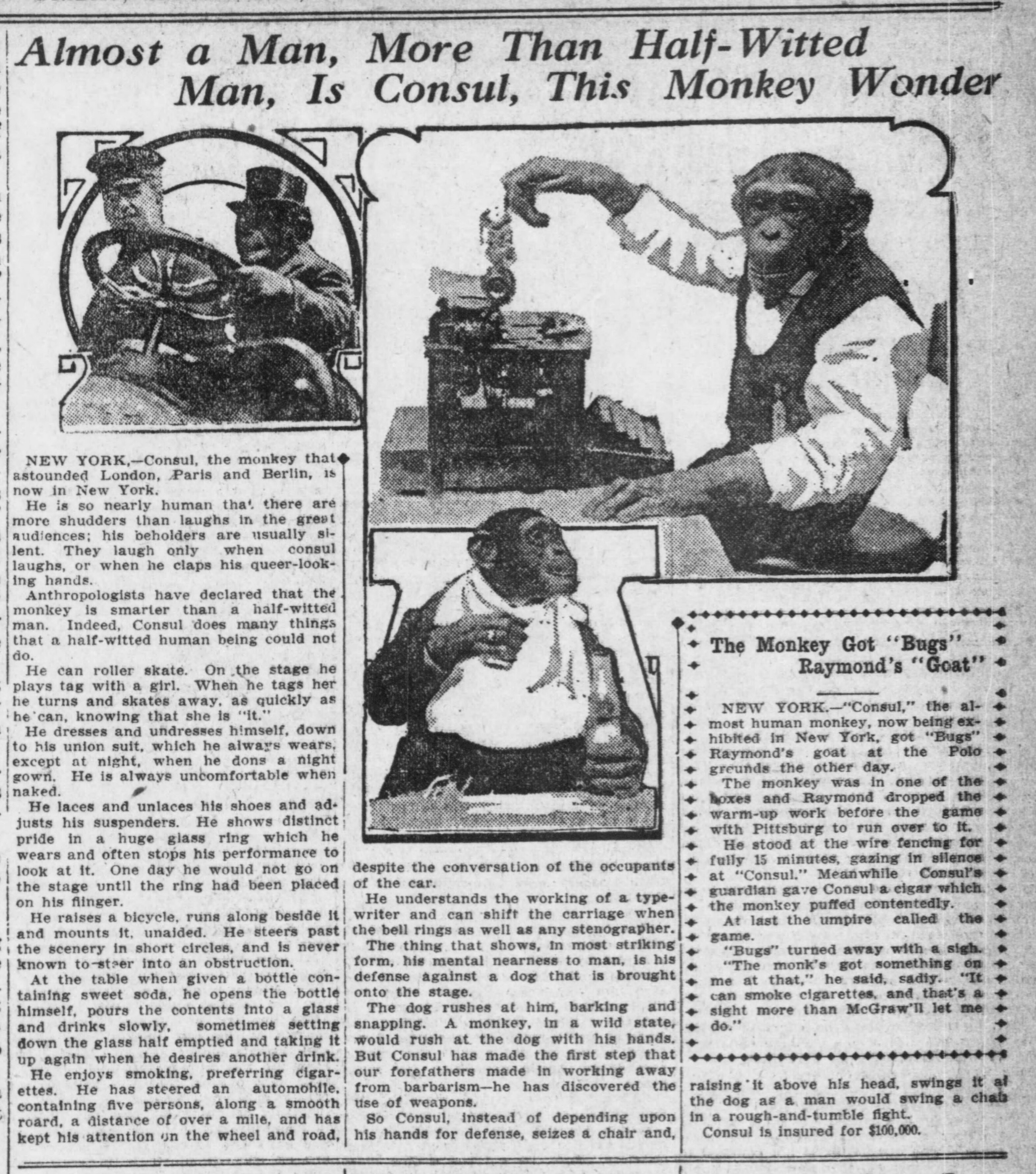 Consul, The Educated Monkey - Jaap's Mechanical Calculators Page