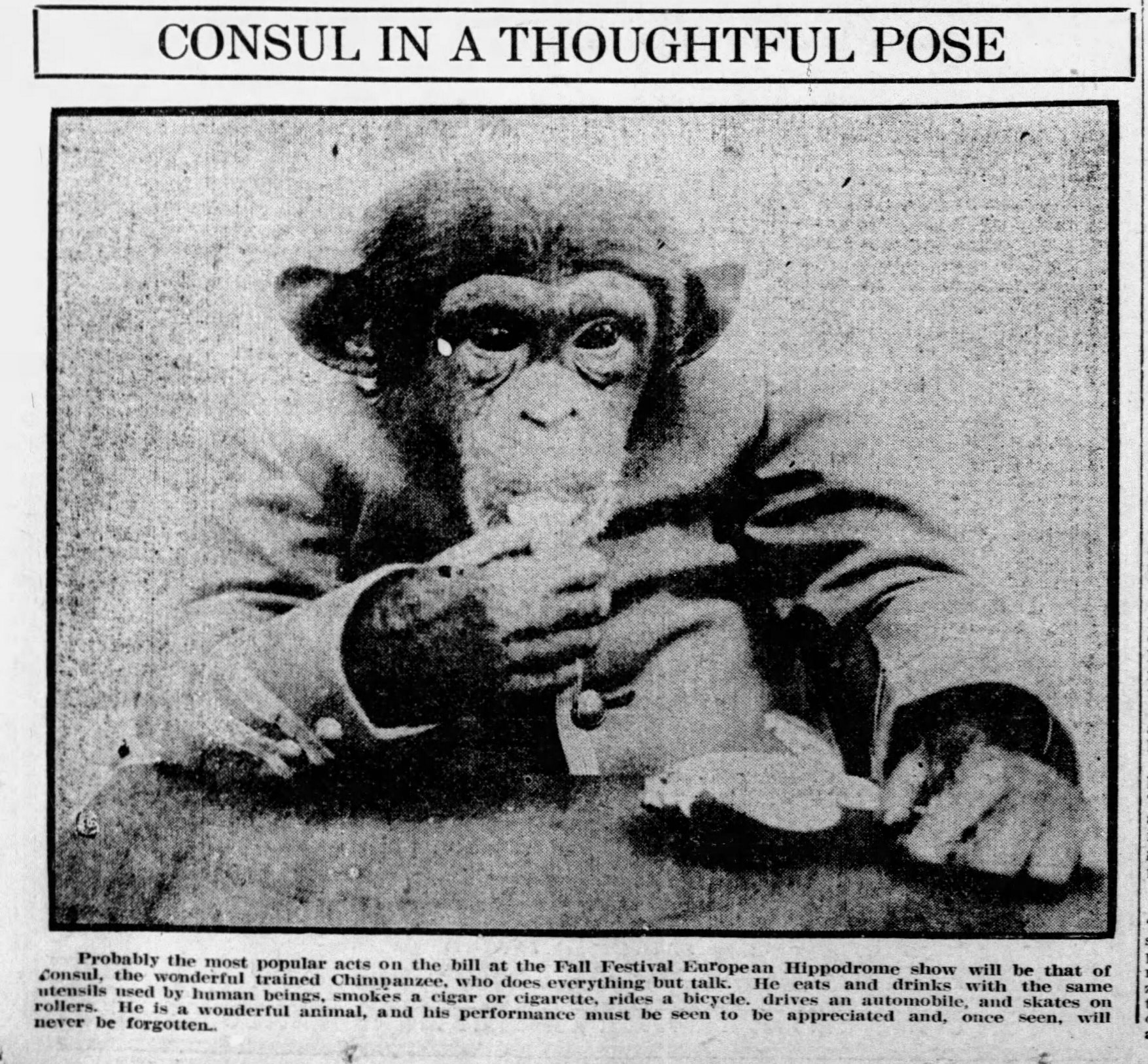 Consul, The Educated Monkey - Jaap's Mechanical Calculators Page