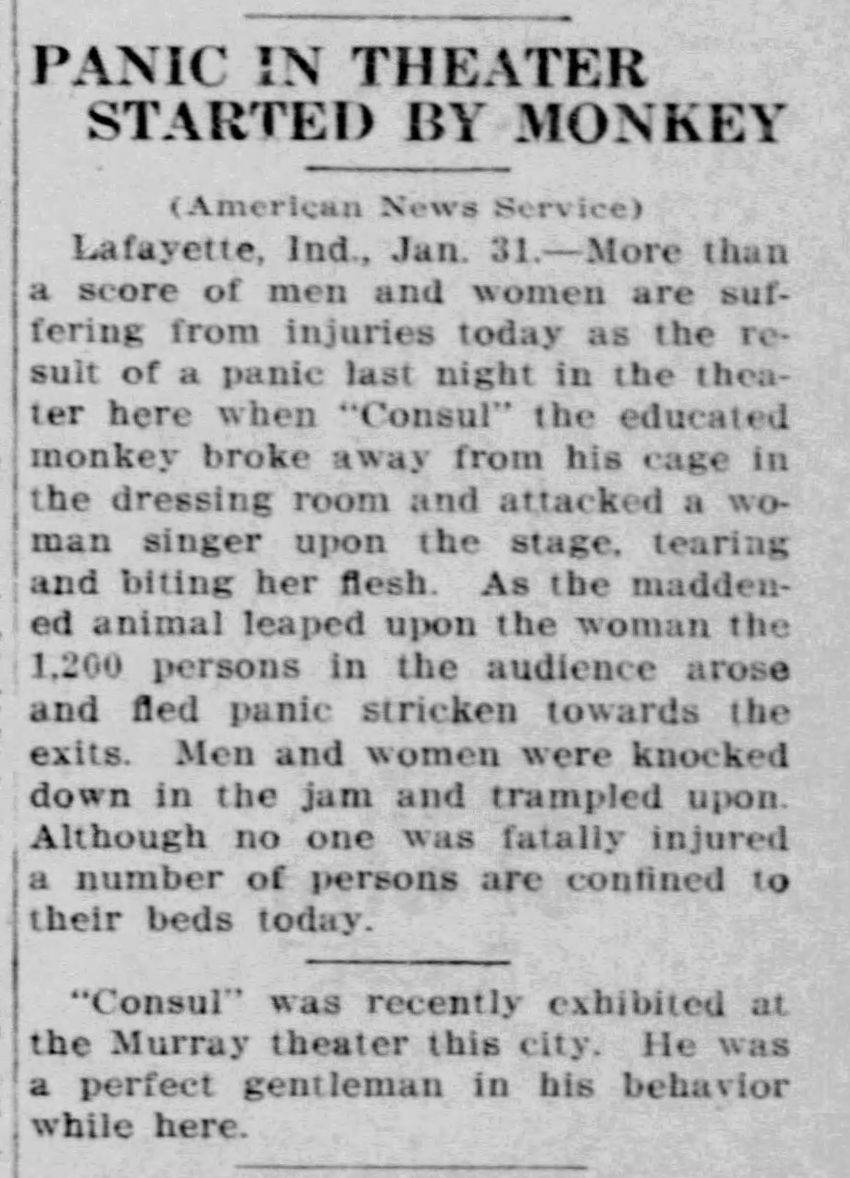 Consul, The Educated Monkey - Jaap's Mechanical Calculators Page